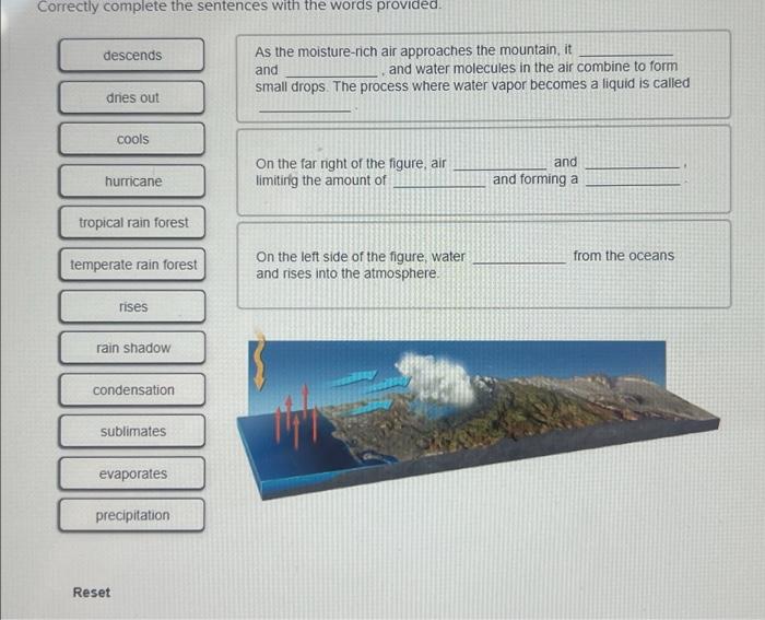 Solved Correctly complete the sentences with the words | Chegg.com