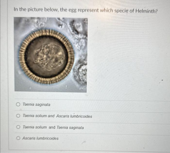 Solved In the picture below, the egg represent which specie | Chegg.com