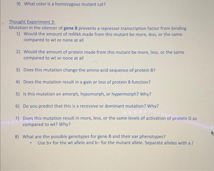 Solved Thought Experiment 1: A single nucleotide insertion | Chegg.com