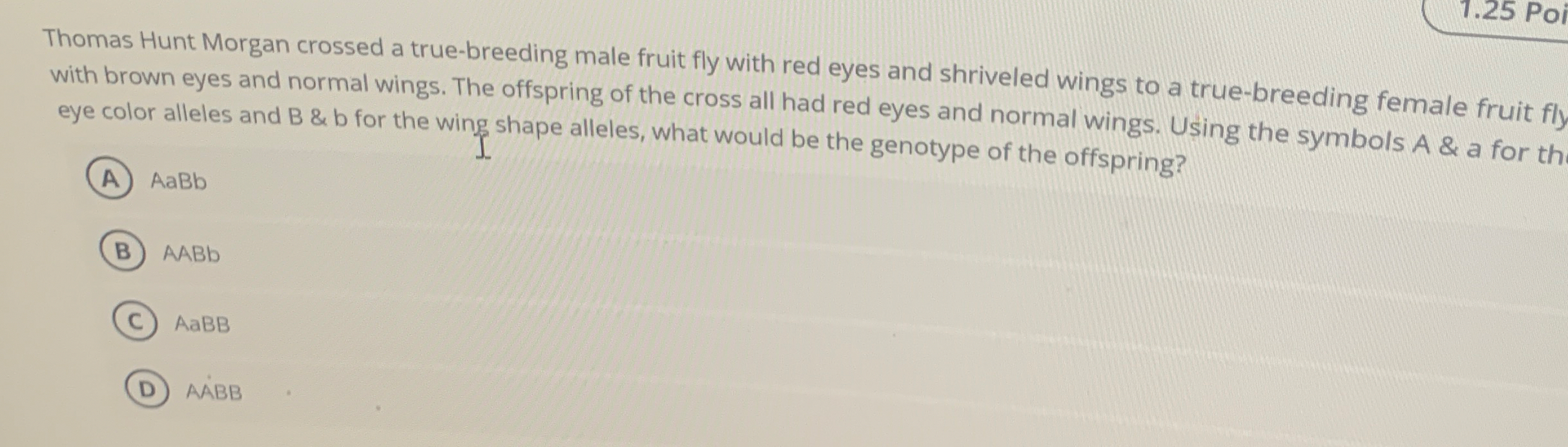Solved 1.25 ﻿PoiThomas Hunt Morgan crossed a true-breeding | Chegg.com