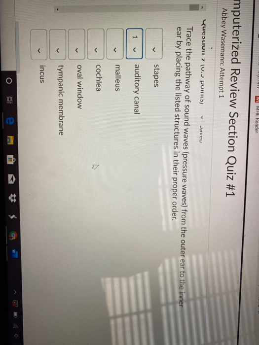 Solved M MHE Reader mputerized Review Section Quiz #1 Abbey | Chegg.com