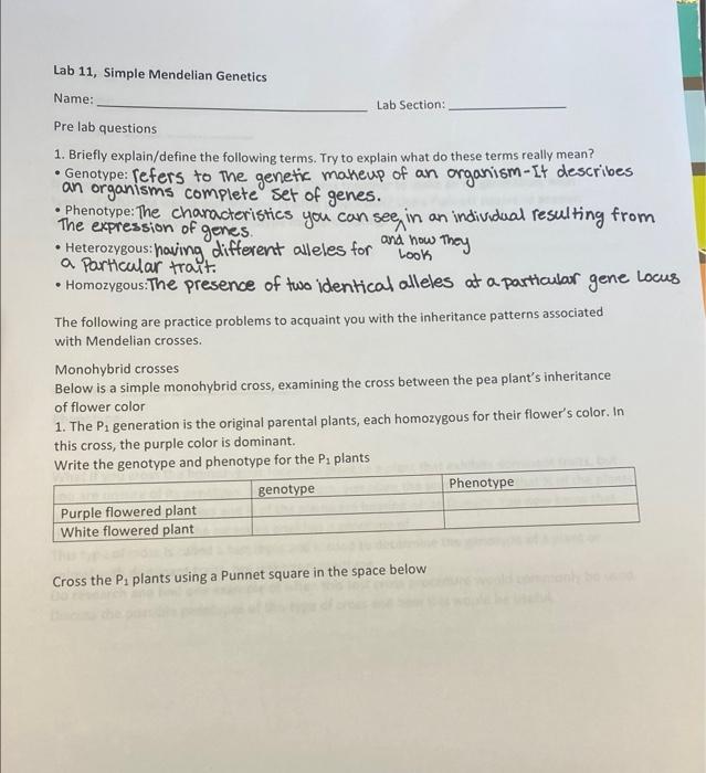Solved Name Lab Section Pre Lab Questions 1 Briefly