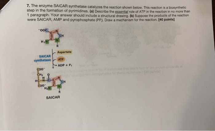 7. The enzyme SAICAR synthetase catalyzes the | Chegg.com
