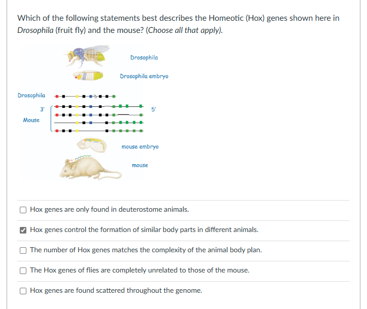 Solved Which of the following statements best describes the | Chegg.com