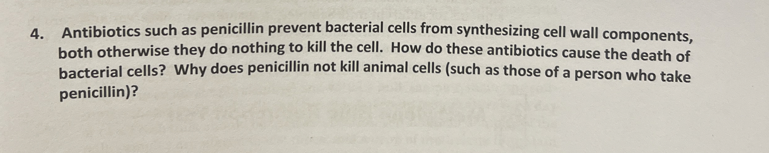 Solved Antibiotics such as penicillin prevent bacterial | Chegg.com