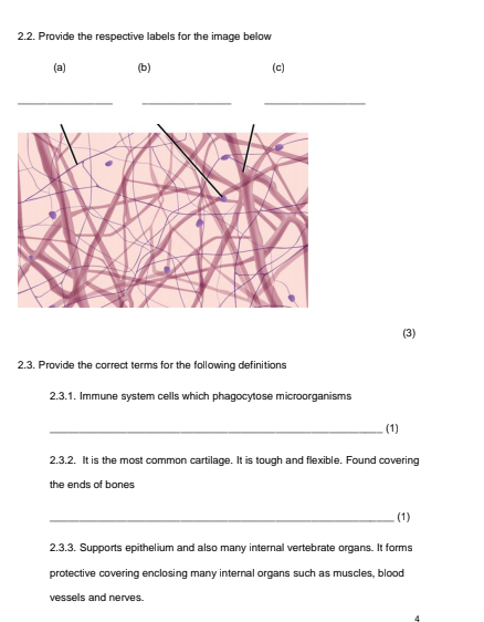 Solved 1.1. Draw and label a Simple Columnar Epithelium (5) | Chegg.com