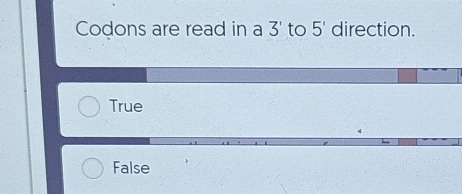Solved Codons are read in a 3' ﻿to 5' ﻿direction.TrueFalse | Chegg.com