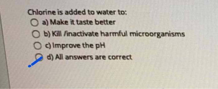 Solved Chloride ions can Cause? a) Extracting Iron to) | Chegg.com