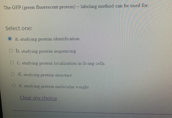 Solved The GFP (green fluorescent protein) - labeling method | Chegg.com