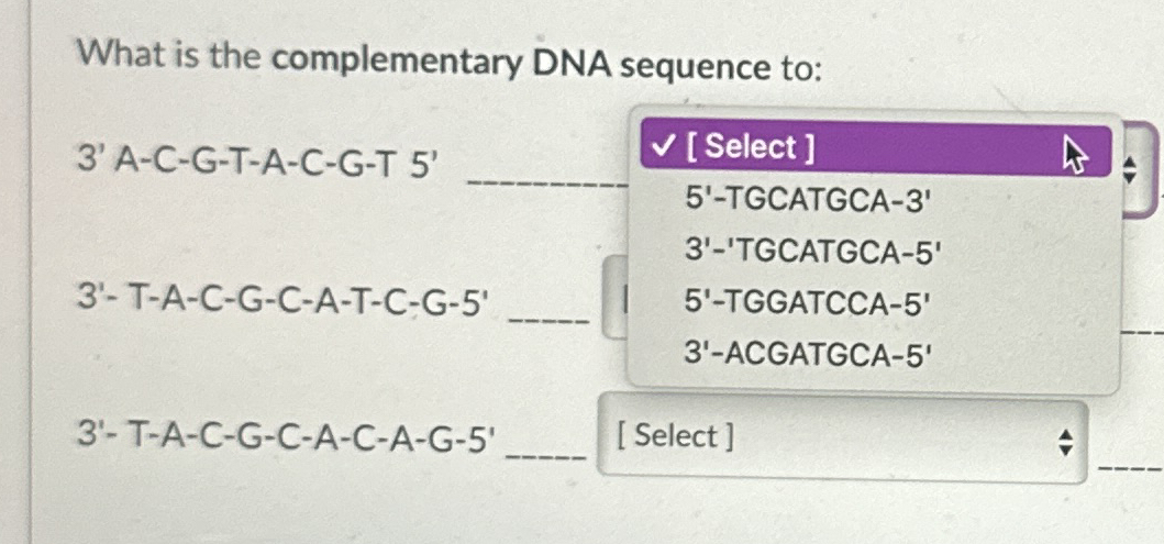 Solved What is the complementary DNA sequence to:3' | Chegg.com