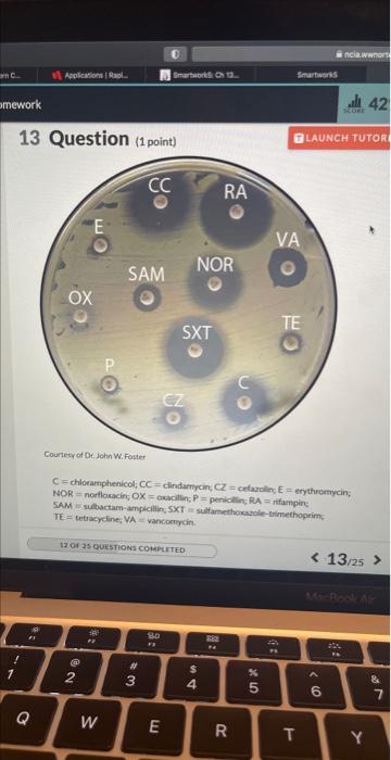 Solved 13 Question (1 point) T LAUNCHTTU C= chloeamphenicol; | Chegg.com
