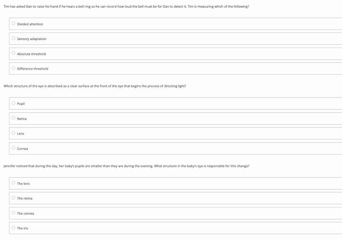 Solved Divided attention Sensery adapeasen Absolute | Chegg.com