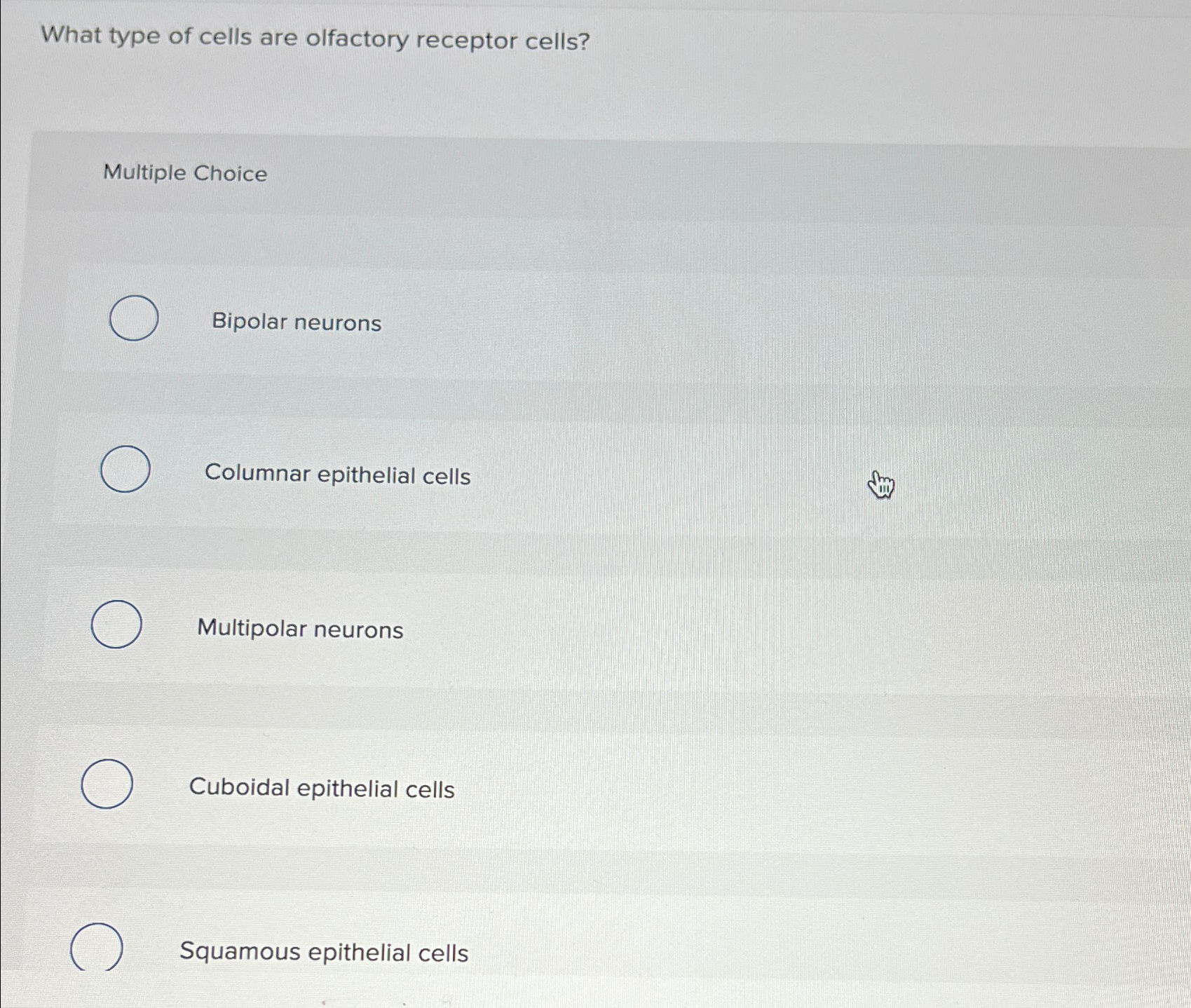 Solved What type of cells are olfactory receptor | Chegg.com