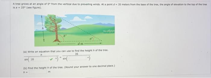 Solved A tree grows at an angle of 5 from the vertical due | Chegg.com