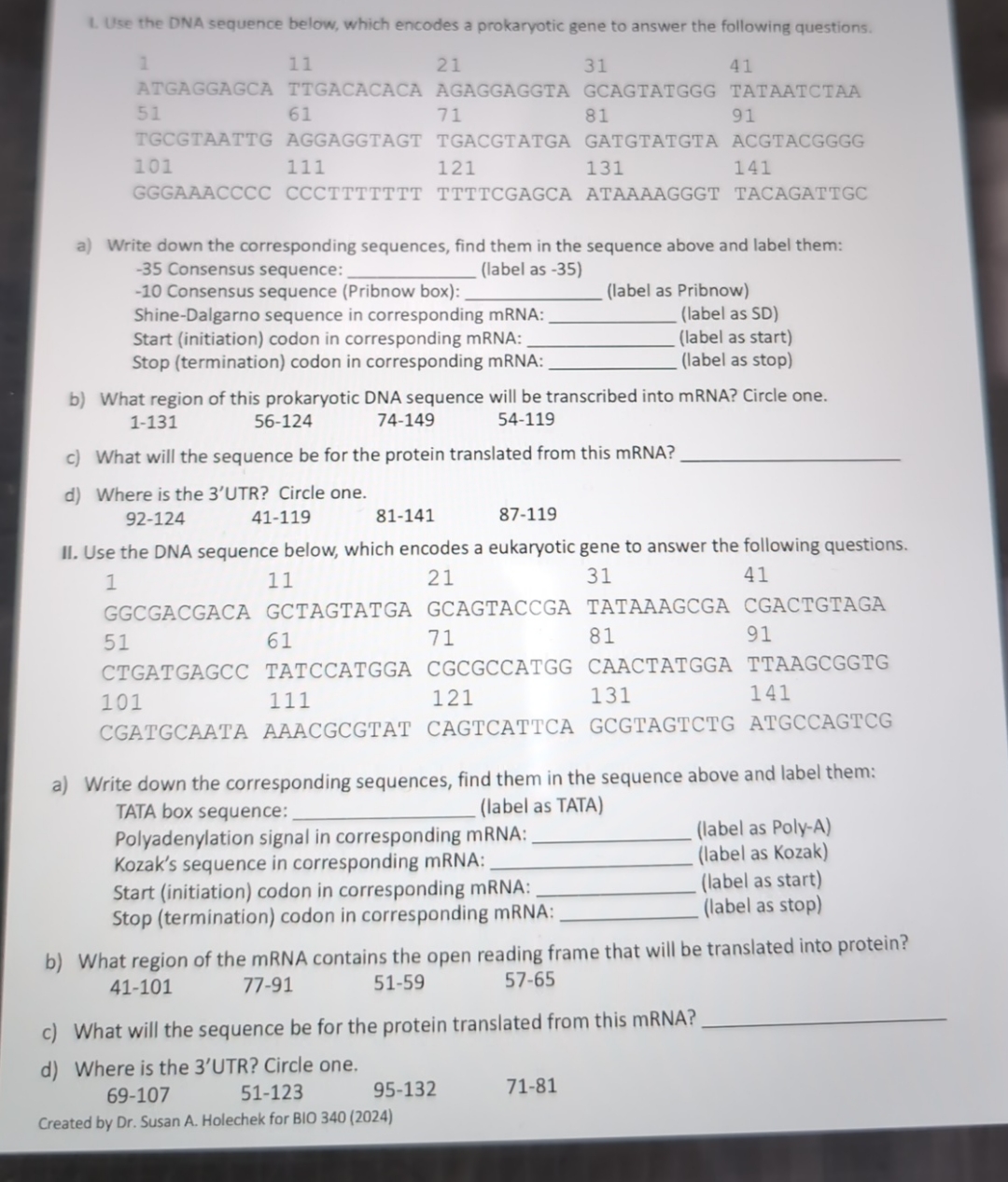 Solved Use the DNA sequence below, which encodes a | Chegg.com