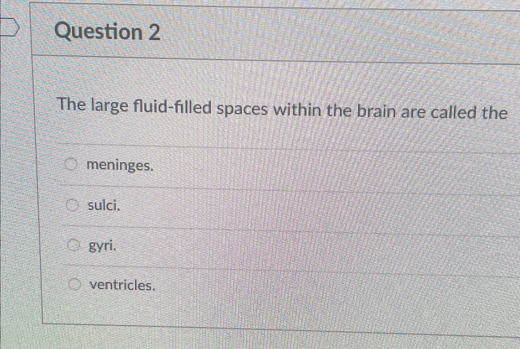 Solved Question 2The large fluid-filled spaces within the | Chegg.com