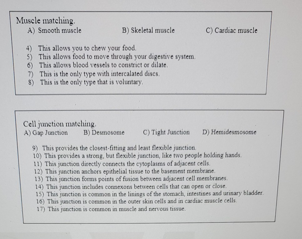 Solved Muscle matching A) Smooth muscle B) Skeletal muscle | Chegg.com