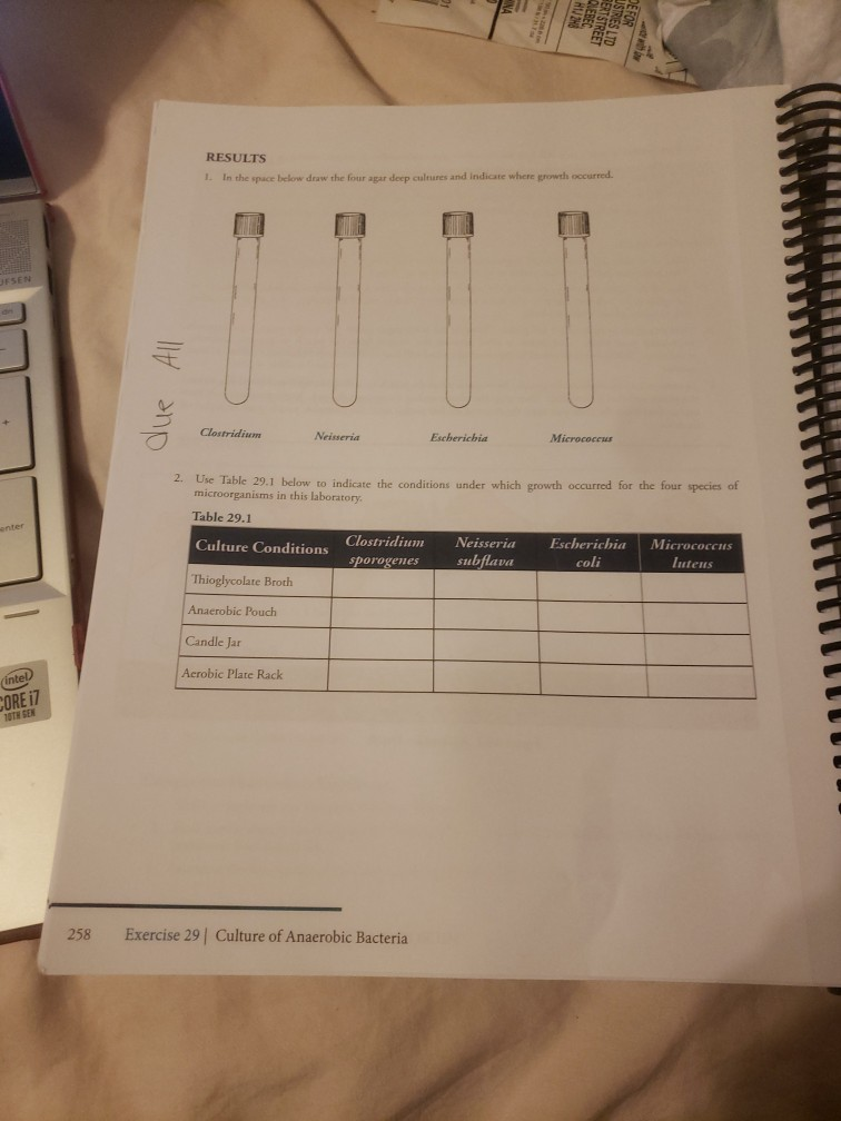Solved RESULTS 1. In the space below draw the four agar deep | Chegg.com