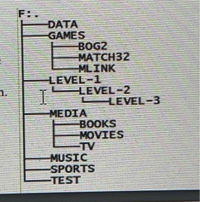 Solved Move to the CIS111 directory on the Data disk and | Chegg.com