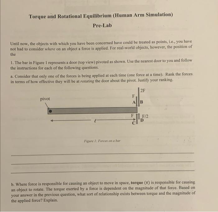 Solved Torque and Rotational Equilibrium (Human Arm | Chegg.com