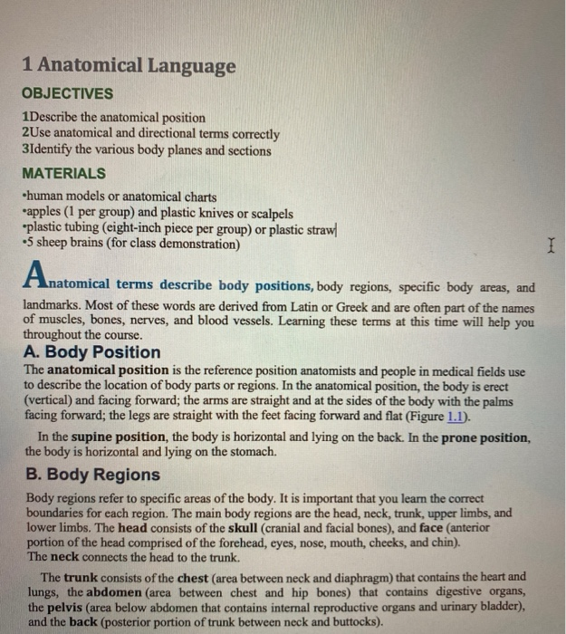 Solved 1 Anatomical Language OBJECTIVES 1Describe the | Chegg.com