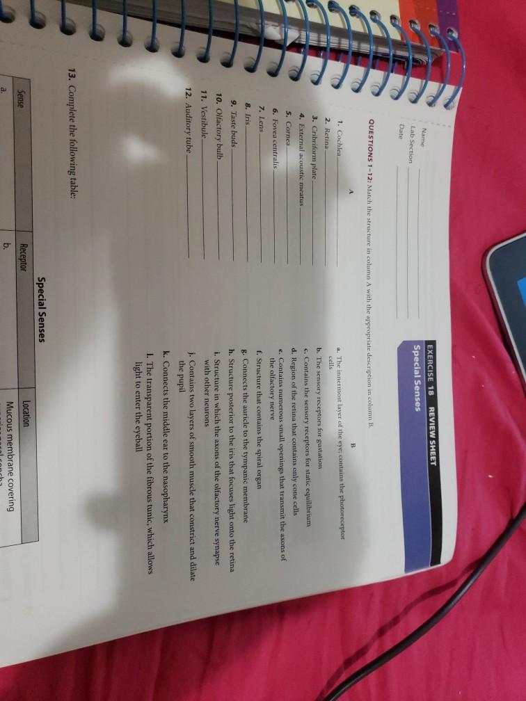 Solved Name Lab Sections Date EXERCISE 18 REVIEW SHEET | Chegg.com Solved Name Lab Sections Date EXERCISE 18 REVIEW SHEET | Chegg.com