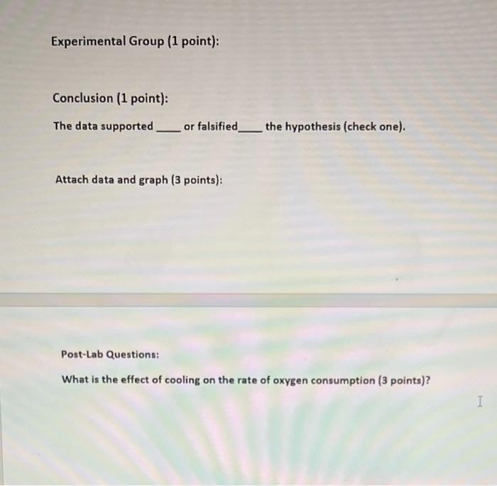 Endocrine Lab Report Thyroid Hormone and Metabolic | Chegg.com