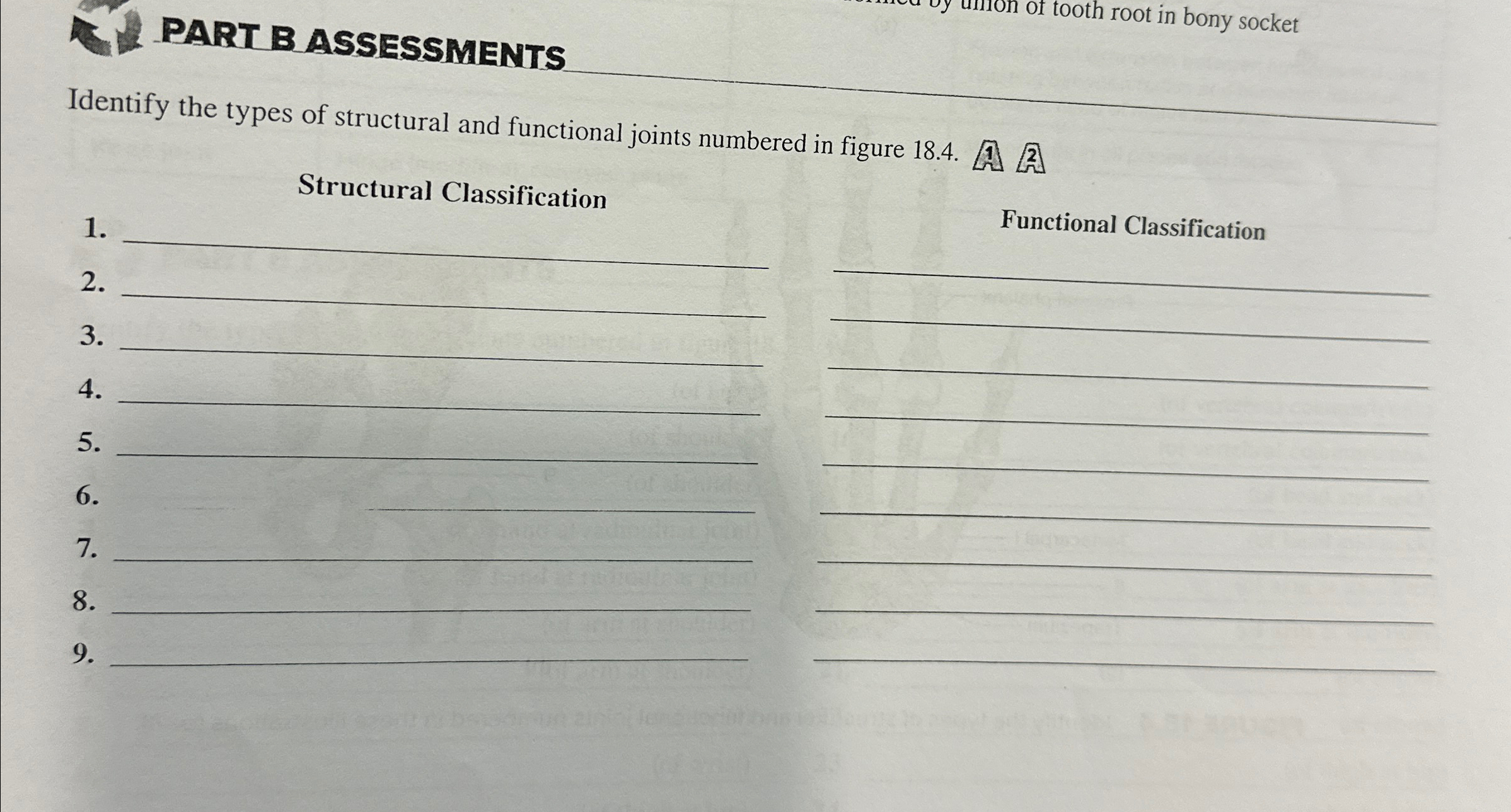 Solved PART B ASSESSMENTStooth root in bony socketIdentify | Chegg.com