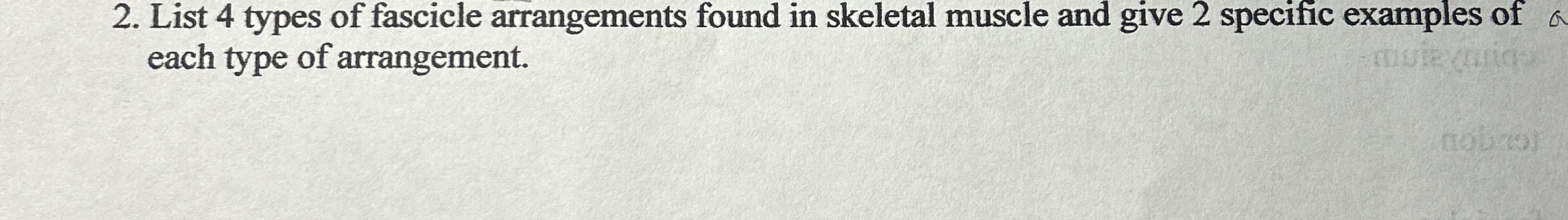 Solved List 4 ﻿types of fascicle arrangements found in | Chegg.com