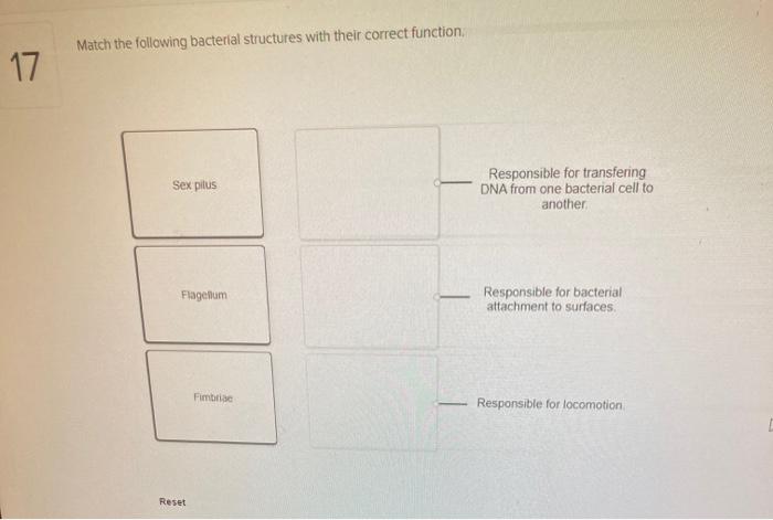 Solved Quiz 0 Identify which image refers to the cell wall | Chegg.com