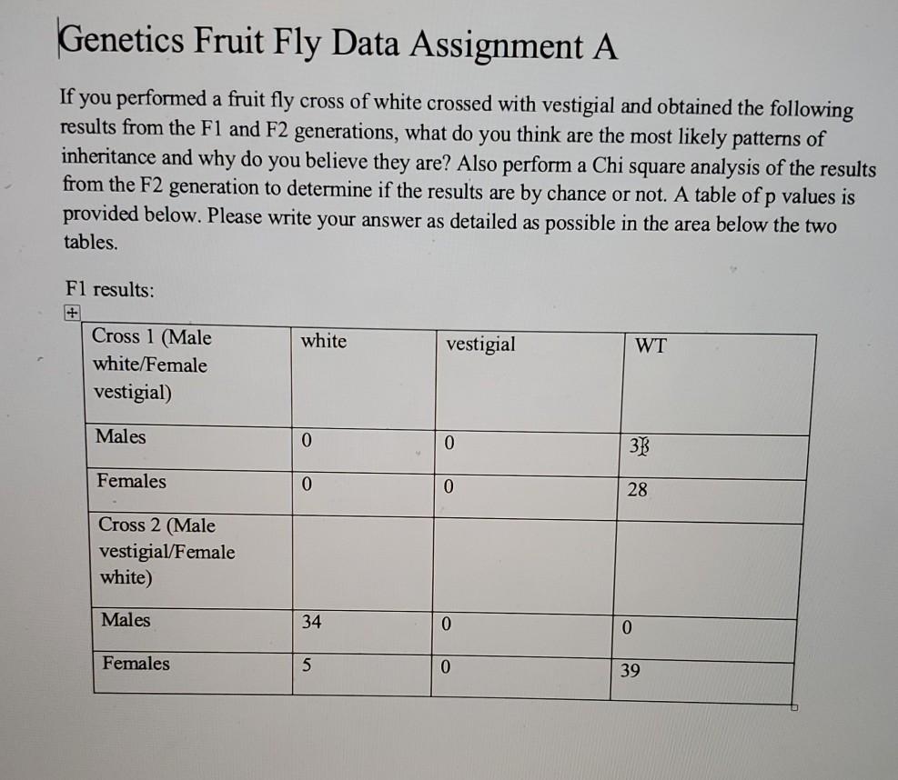 Genetics Fruit Fly Data Assignment A If you performed | Chegg.com