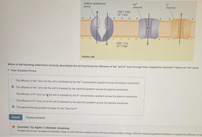 Solved WwitiWhich of the following statements correctly | Chegg.com