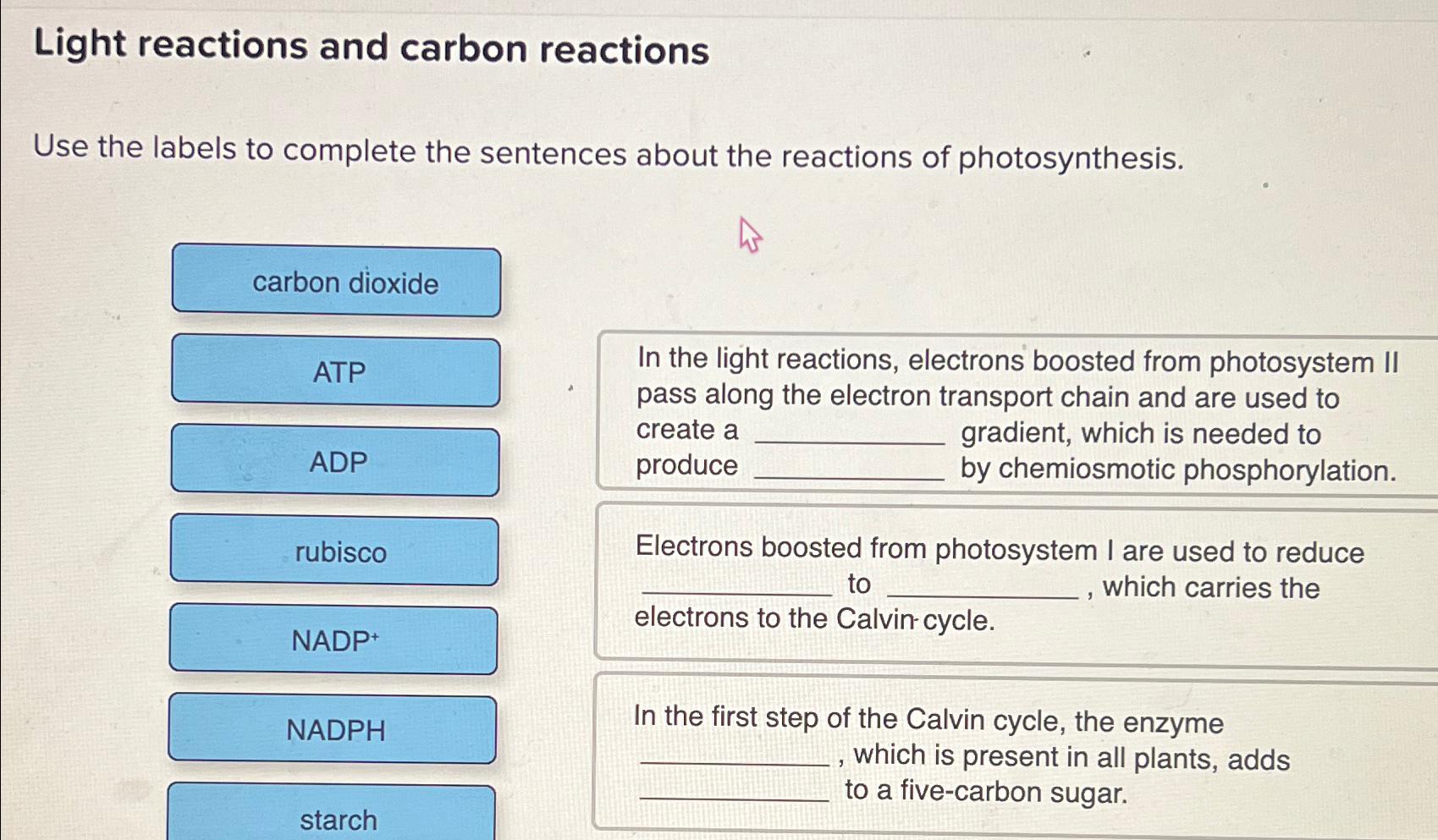 Solved Light reactions and carbon reactionsUse the labels to | Chegg.com