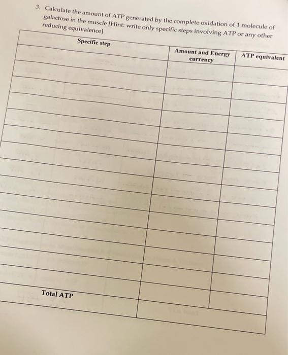 Solved 3. Calculate the amount of ATP generated by the | Chegg.com