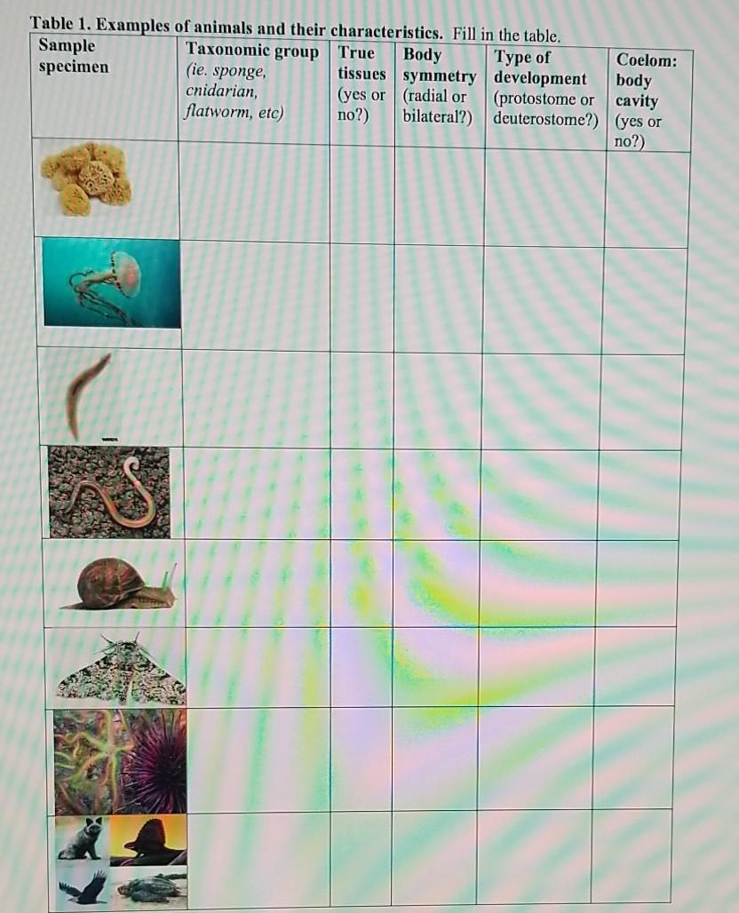 Solved Table 1. Examples of animals and their | Chegg.com