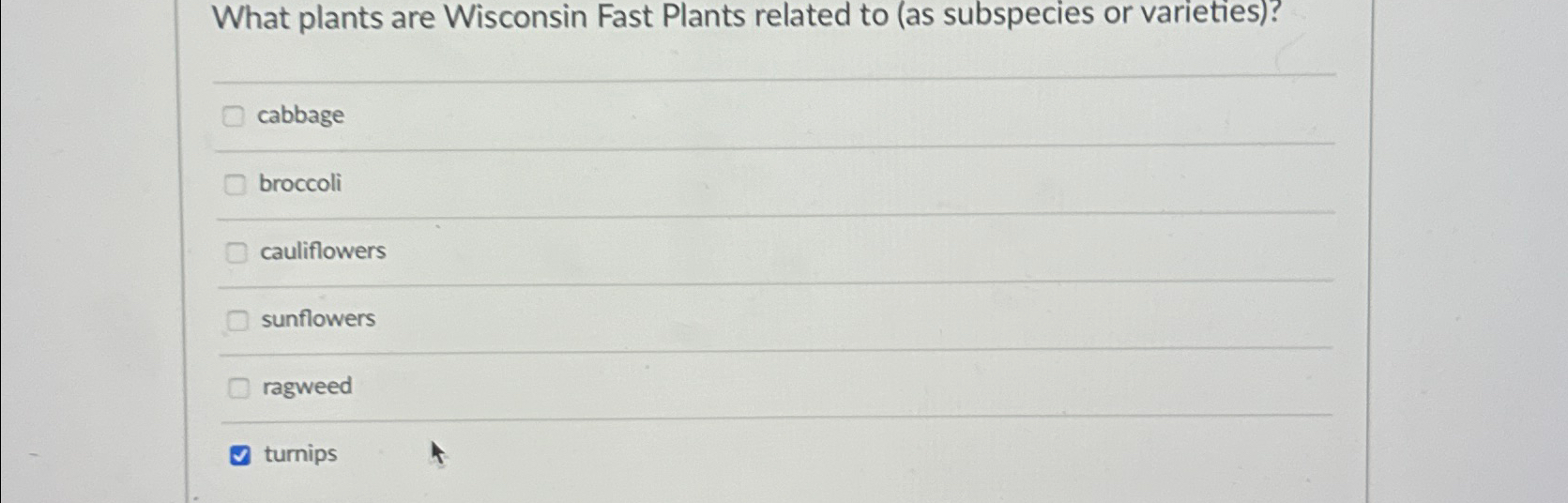 Solved What plants are Wisconsin Fast Plants related to (as | Chegg.com