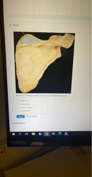 Solved bio 234 lab | Chegg.com