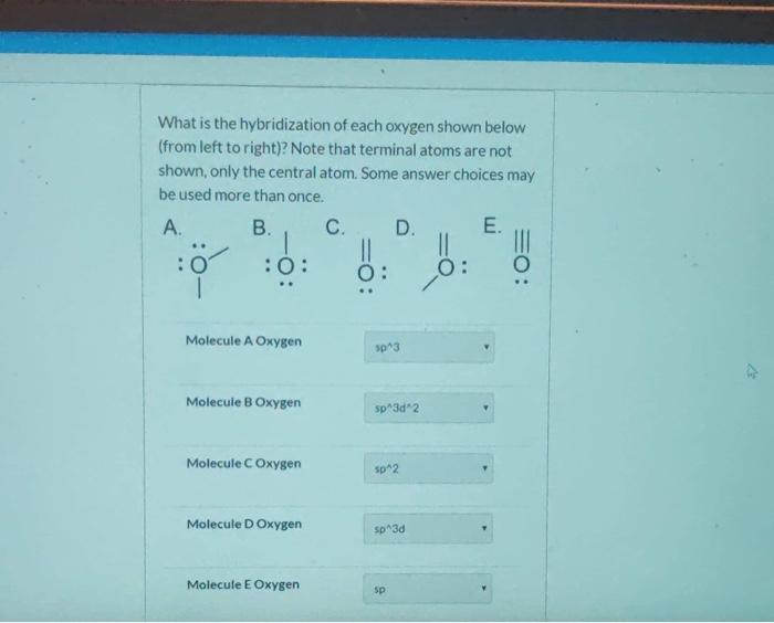 Solved What is the hybridization of each oxygen shown below | Chegg.com