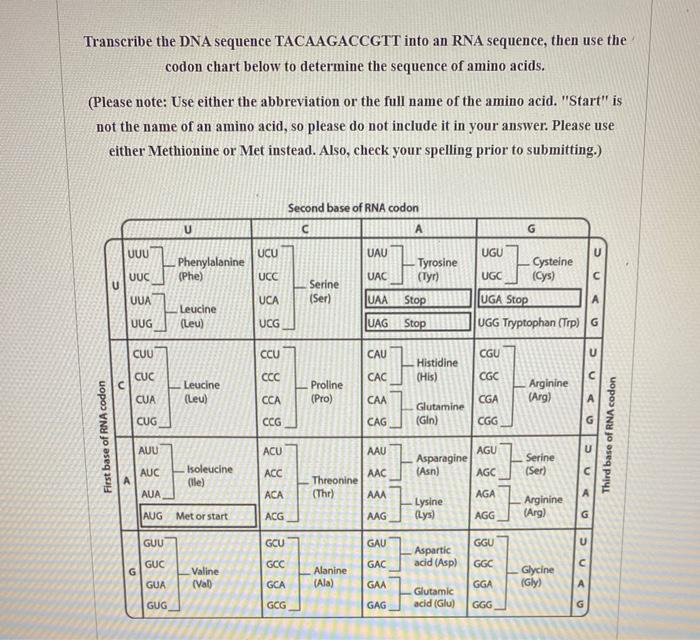 Solved Transcribe the DNA sequence TACAAGACCGTT into an RNA | Chegg.com