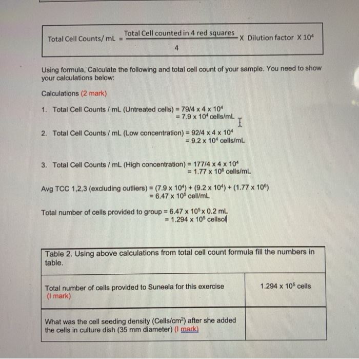 Solved what was the cell seeding density after she added the | Chegg.com