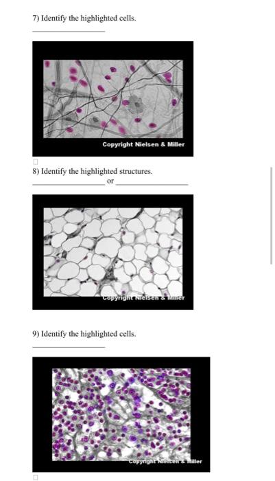 Solved 7) Identify the highlighted cells. 8) Identify the | Chegg.com