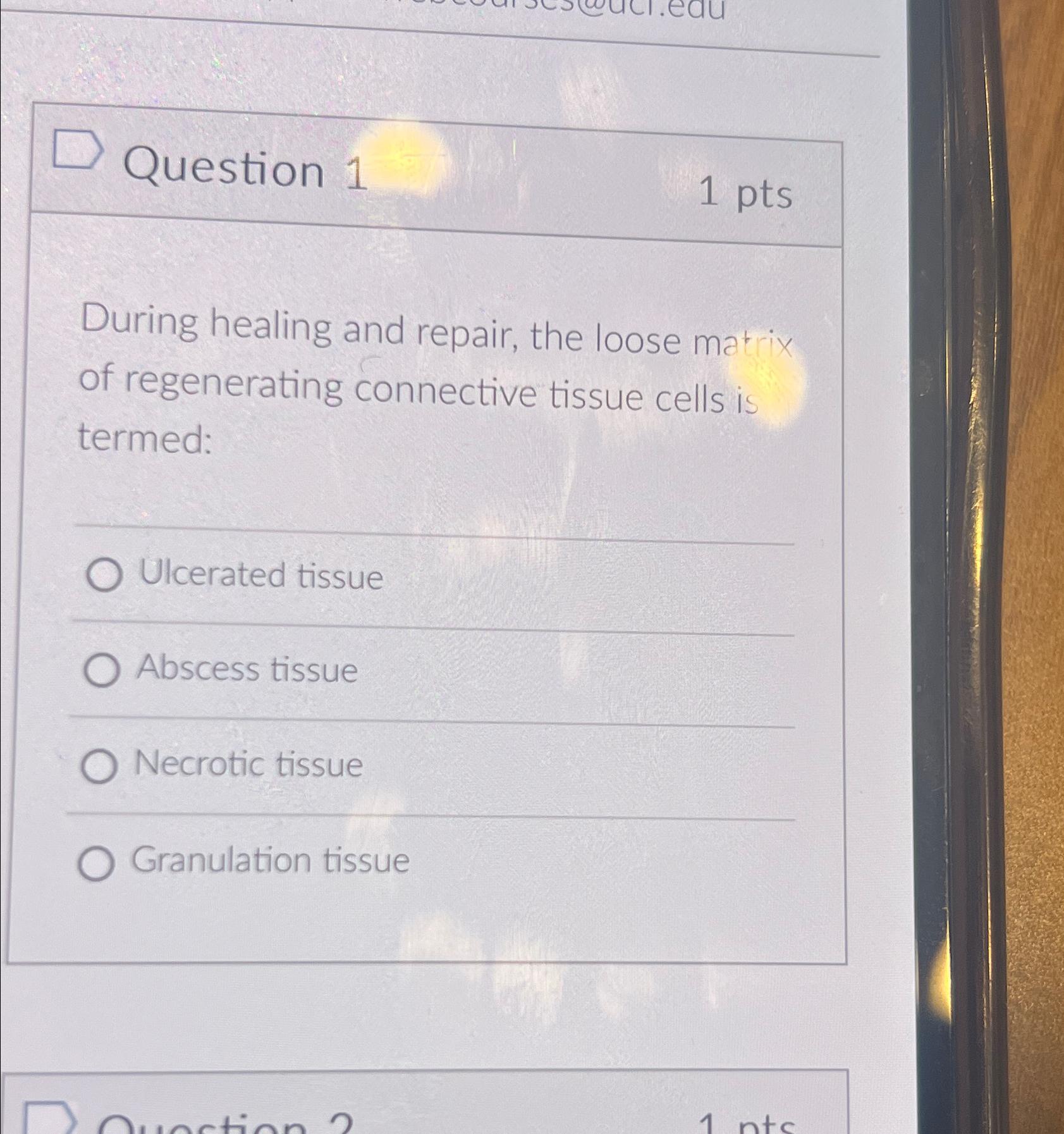 Solved Question 11 ﻿ptsDuring healing and repair, the loose | Chegg.com
