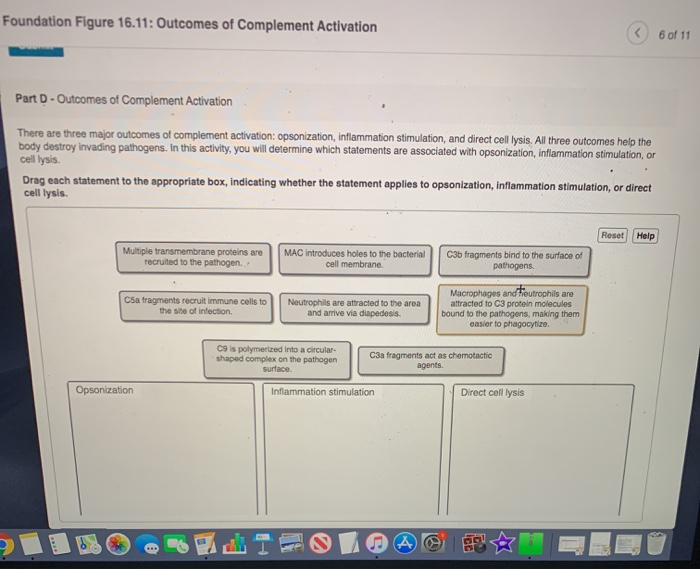 Solved Foundation Figure 16.11: Outcomes of Complement | Chegg.com