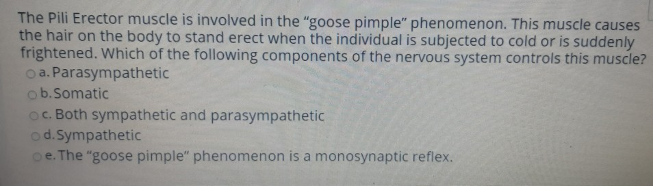 Solved The Pili Erector muscle is involved in the "goose | Chegg.com