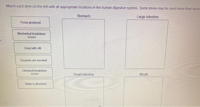 Solved Match each item on the left with all appropriate | Chegg.com