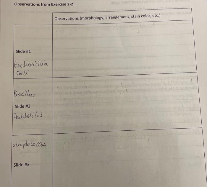 Solved Observations from Exercise 2-2: | Chegg.com