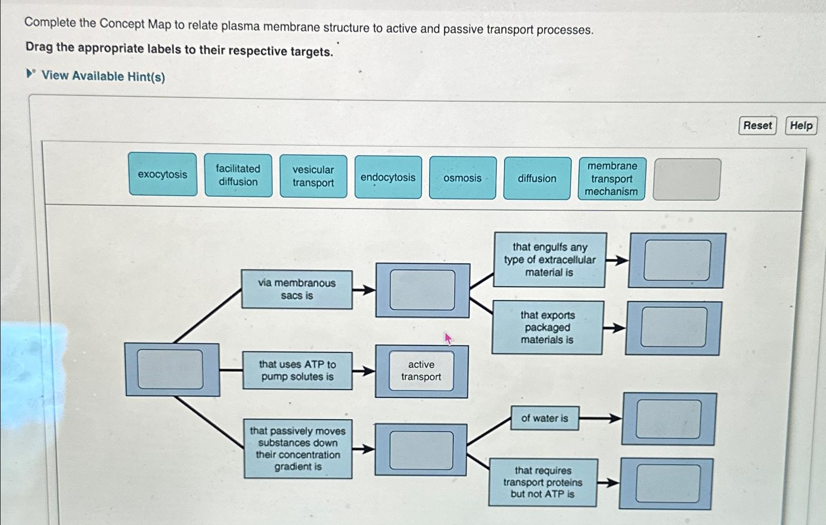 Solved Complete the Concept Map to relate plasma membrane | Chegg.com