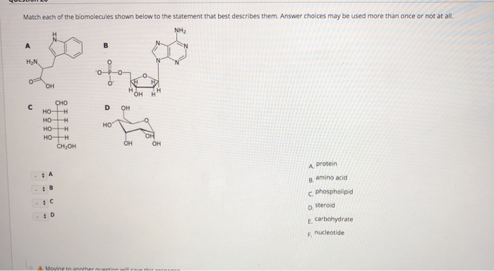 Solved Match each of the biomolecules shown below to the | Chegg.com