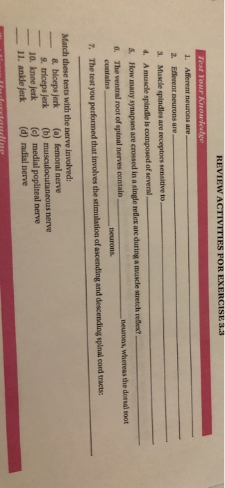 Solved REVIEW ACTIVITIES FOR EXERCISE 3.3 Test Your | Chegg.com