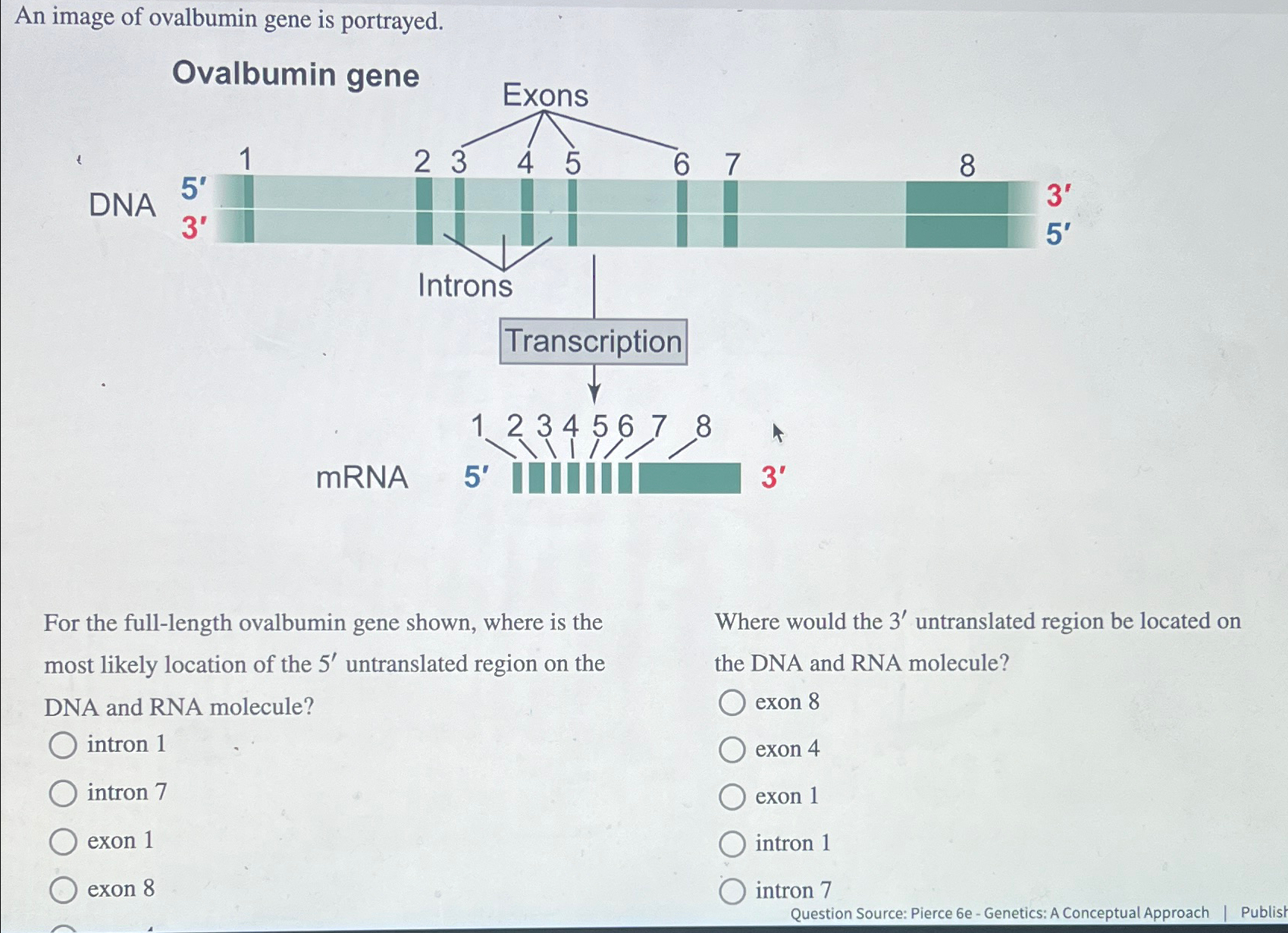 Solved An image of ovalbumin gene is portrayed.For the | Chegg.com